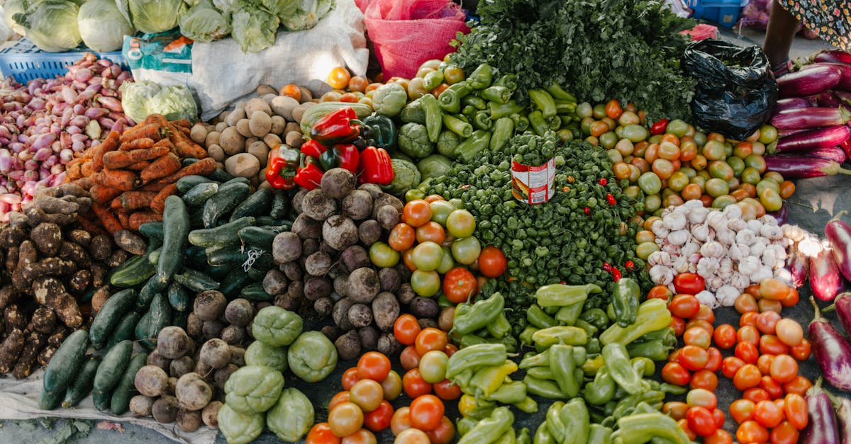 Discover 6 Vegan Restaurants In The Dominican Republic: Savor Plant ...